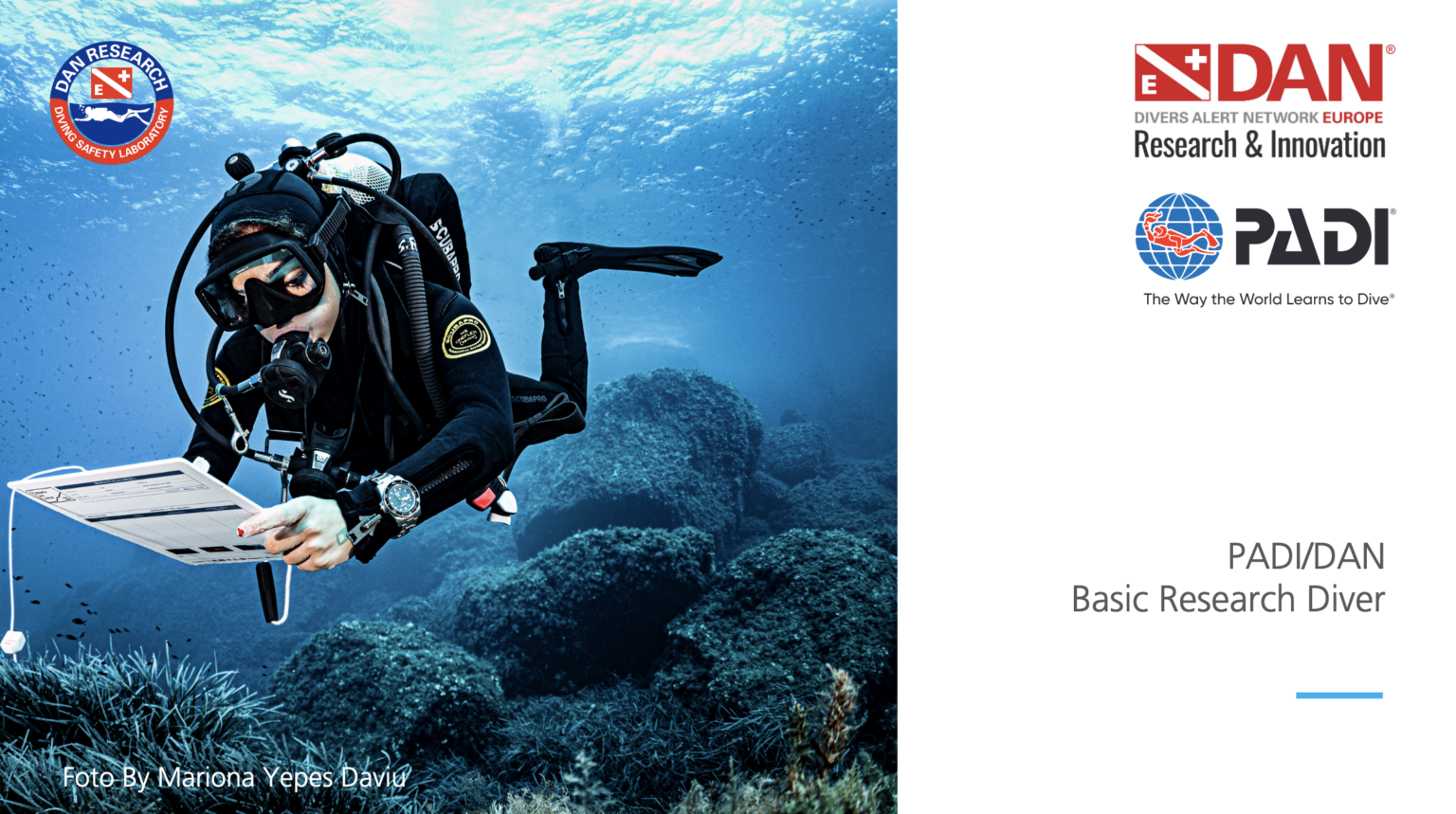 PADI DAN Basic Research – SuperDiveTossa